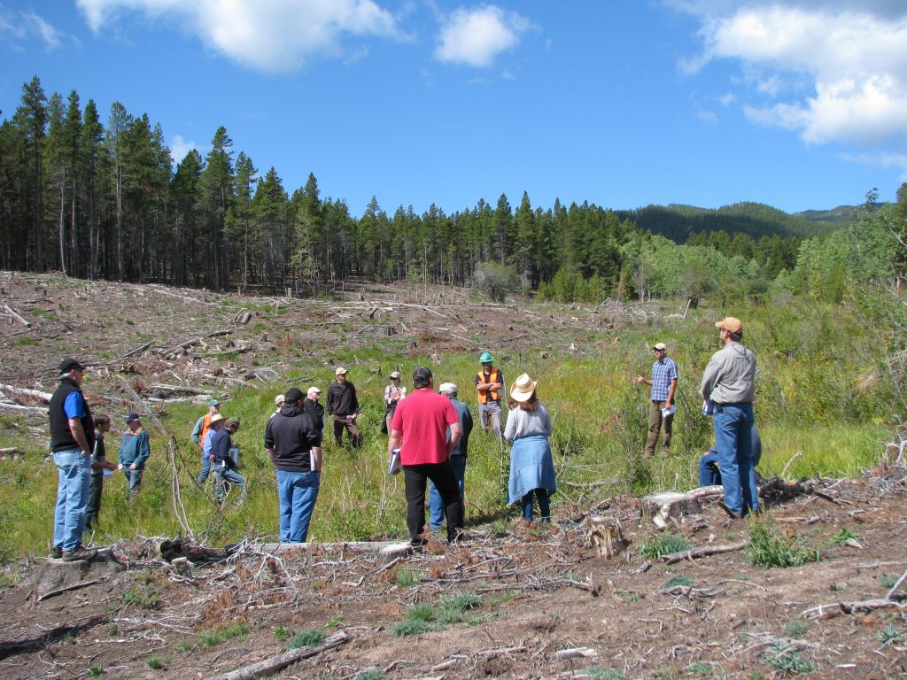 Colorado Timber Association | Partners for Healthy Forests