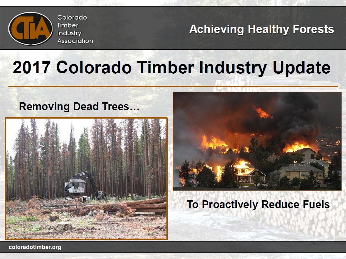 Ed Resources | Colorado Timber Association